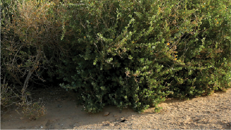 Home [www.kockw.com]