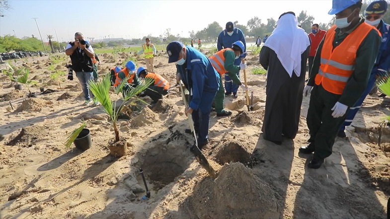 Pages - KOC Launches Tree-Planting & Ahmadi Beautification Campaign